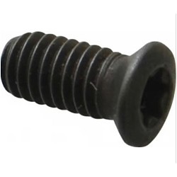 Bostwick Braun | Valenite PT-317T Lock Screw
